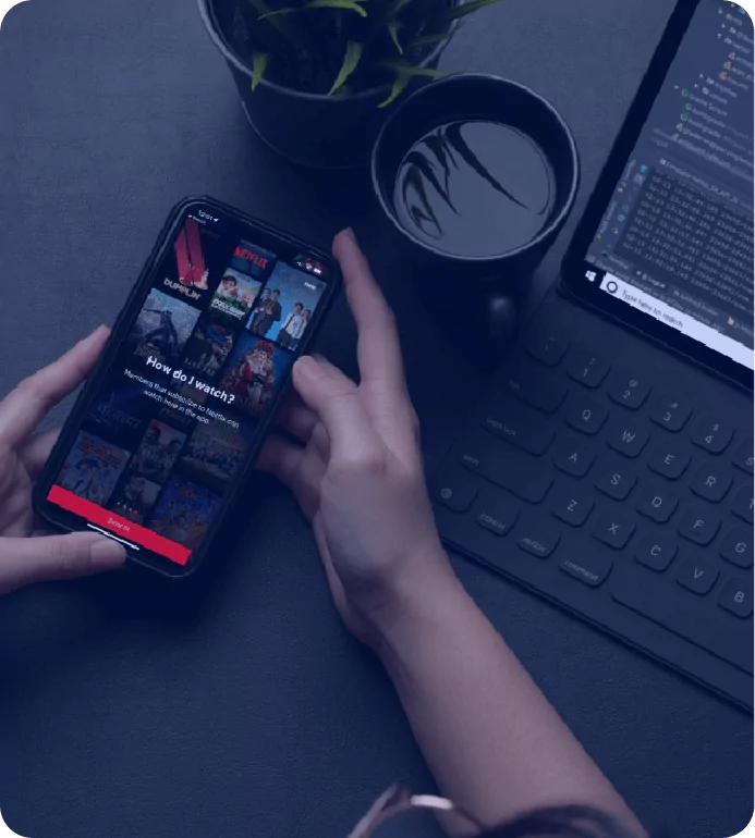 Media and Entertainment Software Development Service